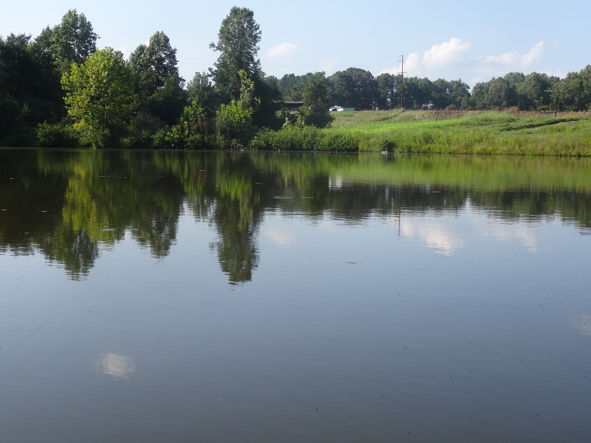 Sycamore Grove Farm | A Small Working Farm in Virginia